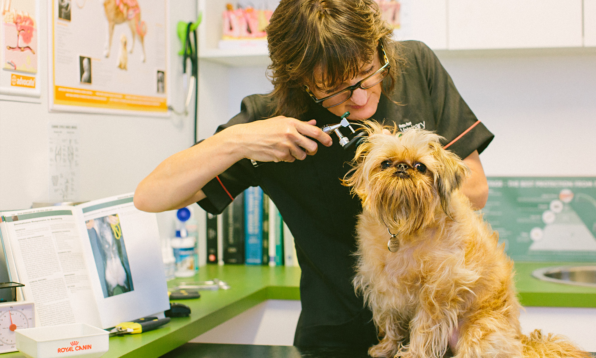 Allergy & Dermatology - Potts Point Veterinary Hospital